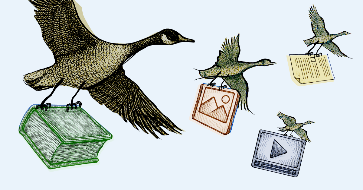 CMS content migration 101 | Contensis