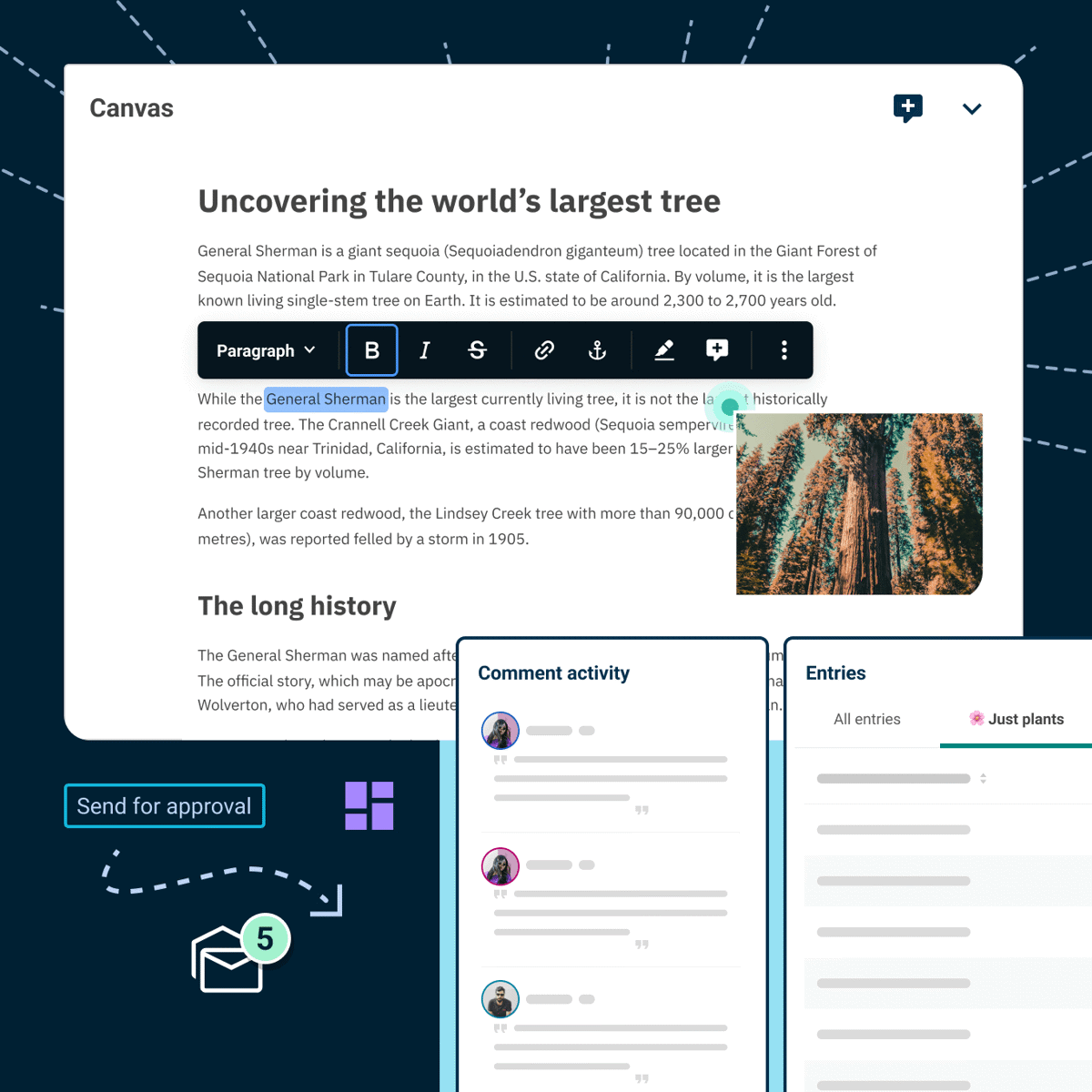 Headless CMS vs Traditional CMS | Which is better?