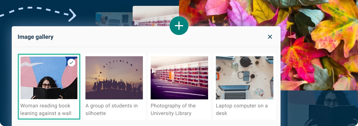 Contensis Canvas long-form content editor